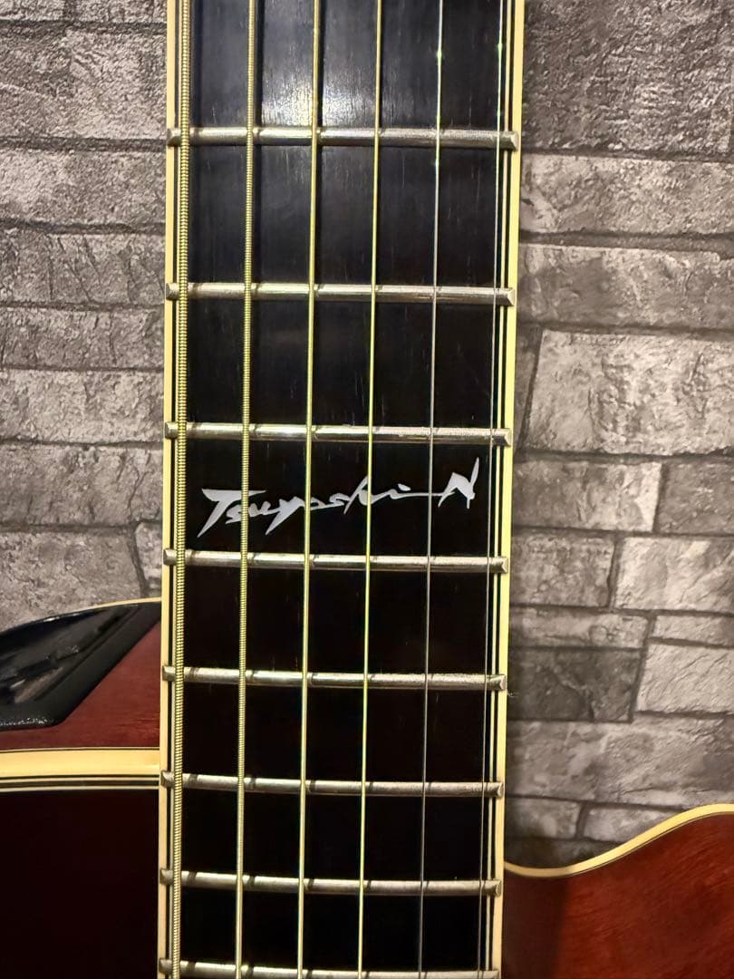 d*6様 希少！長渕剛シグネチャーモデルギターTakamine TN-520 B