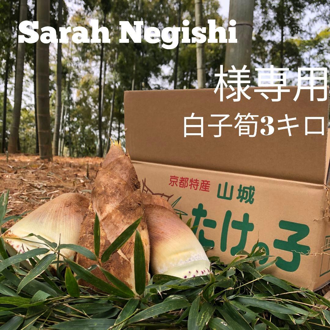 sarah Negishi　白子筍3キロクール