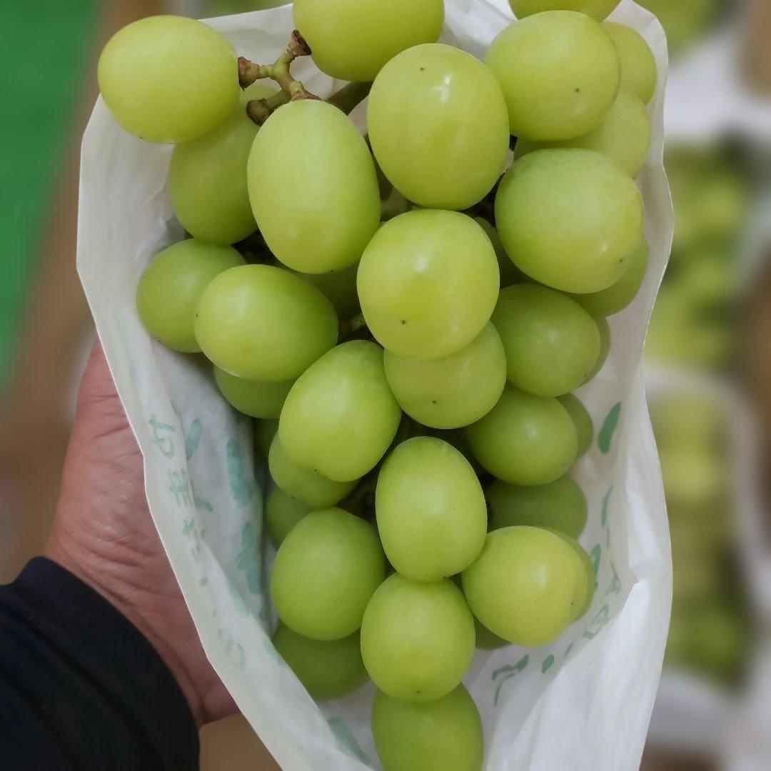 4️⃣ 山梨県産 シャインマスカット ９房入り 箱込み5.4キロ