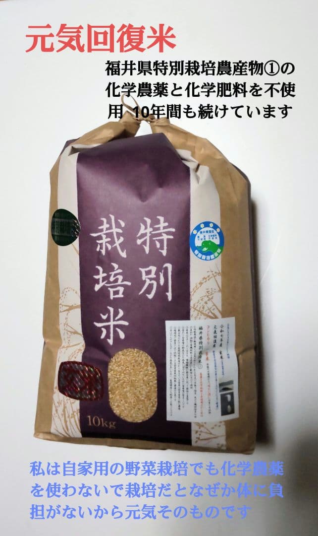 ご病気のお客様に最適な米　玄米10kg　７年産コシヒカリ　特別栽培① 無農薬栽培