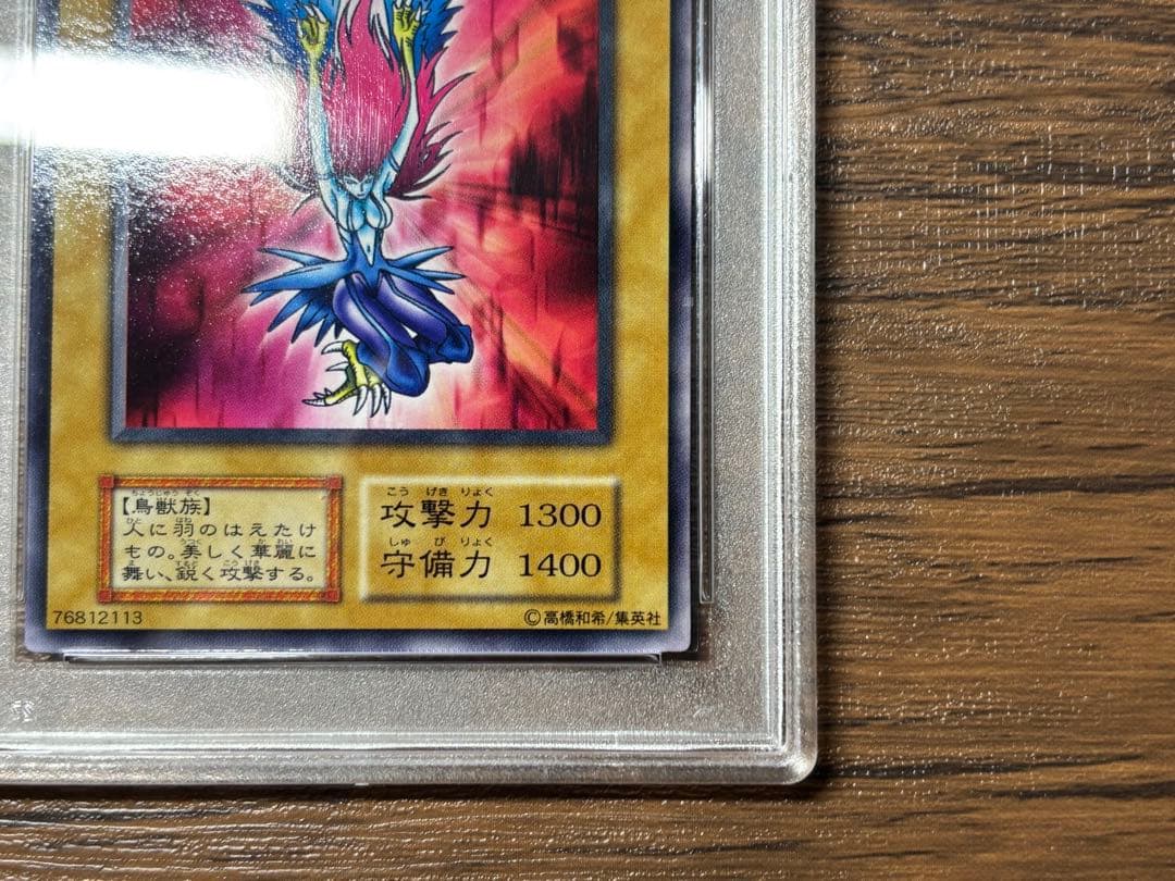 遊戯王 PSA10 パーピィ・レディ 初期 鑑定済み GEM MINT 極美品