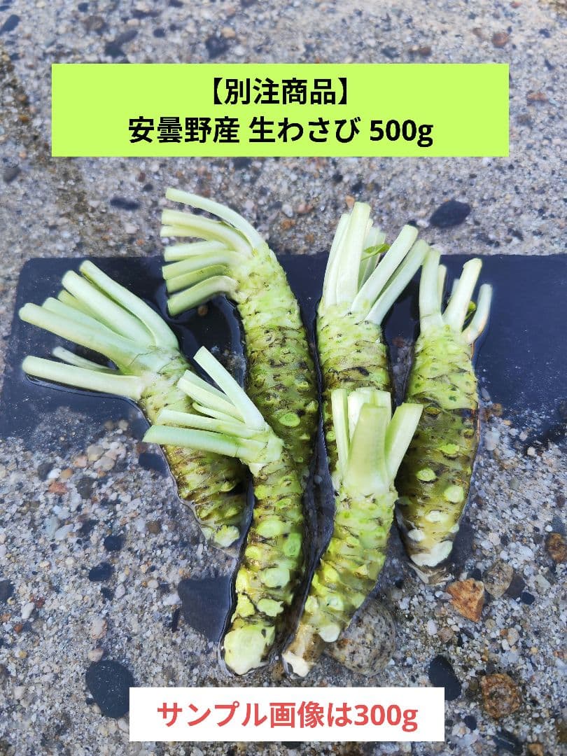 【別注】えぐ 安曇野産 生わさび 500g