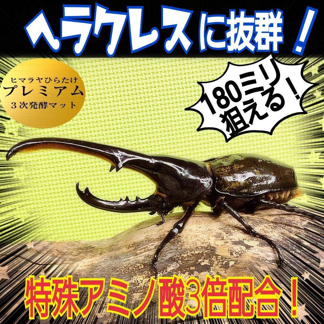 増量【80リットル】プレミアム3次発酵カブトムシマット☆特殊アミノ酸強化配合！