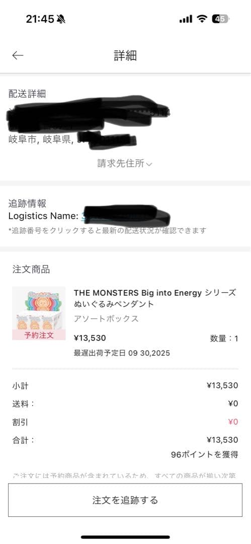 Big into Energy ぬいぐるみ　1アソートボックス ラブブ 正規品