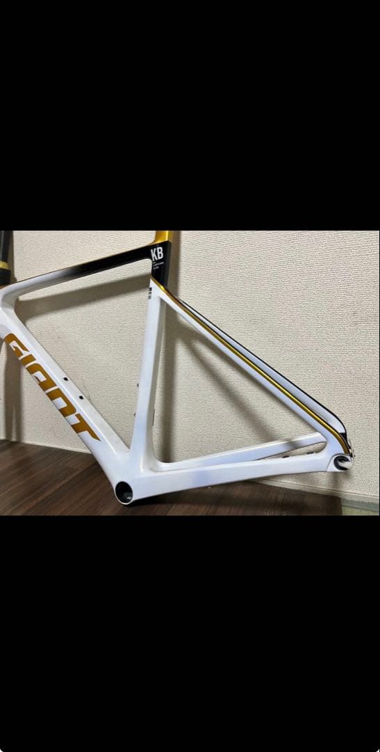現行型　sサイズ　新品・未組立・未加工　PROPEL ADVANCED SL