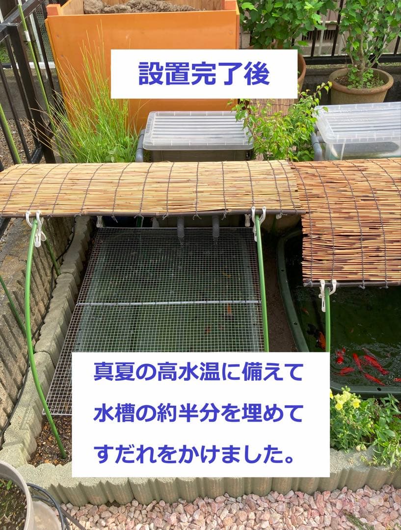 【DIY】三段式外部ろ過装置（個人製作濾過装置）【メダカ・金魚・錦鯉の屋外飼育】