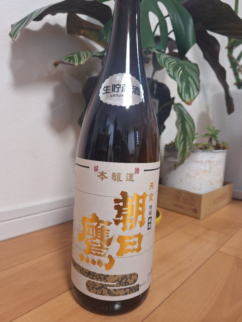 特撰 朝日鷹 新酒生貯蔵