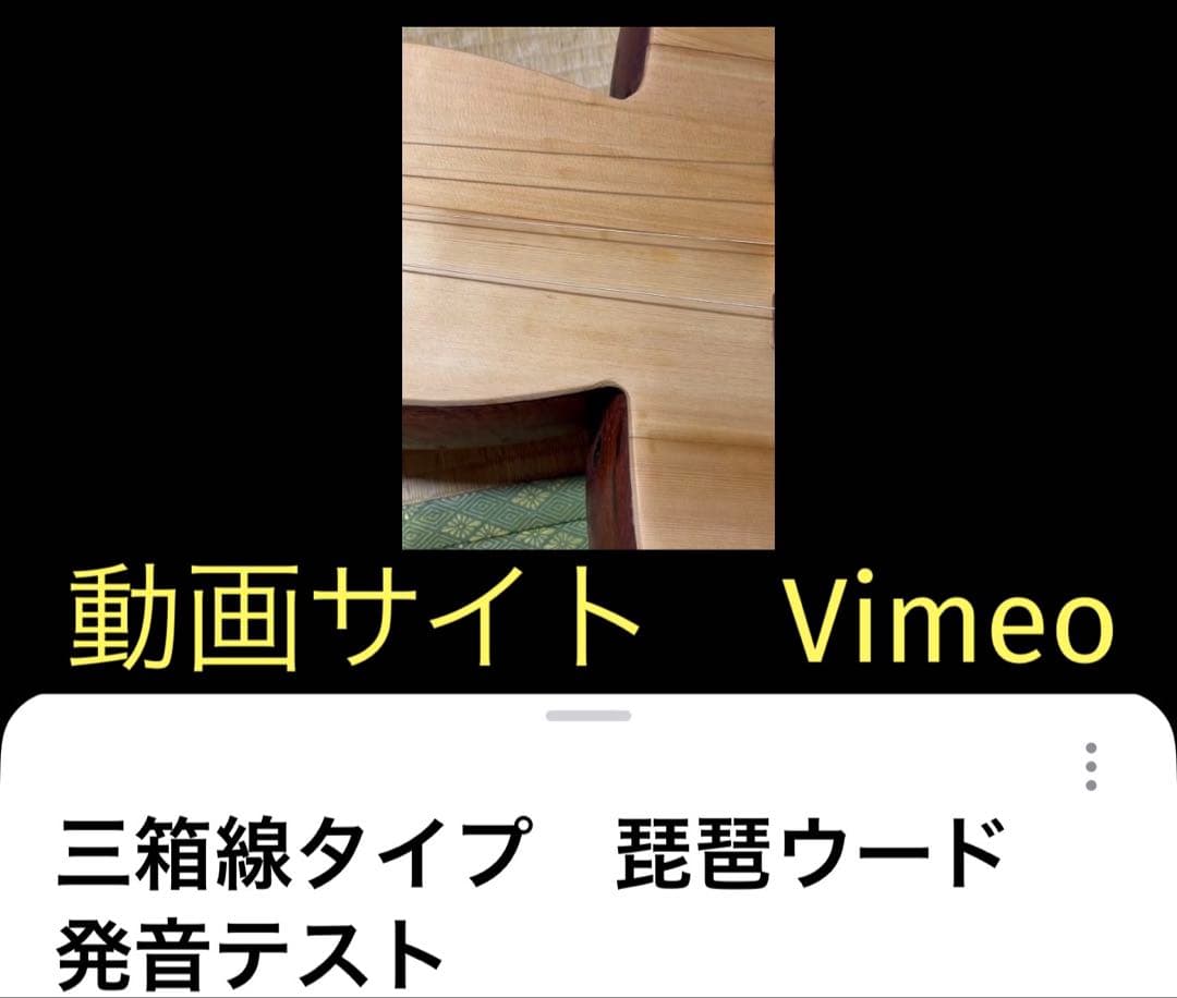 琵琶ウード　三箱線タイプ　超レア　アンプ対応　 Sanpakosen