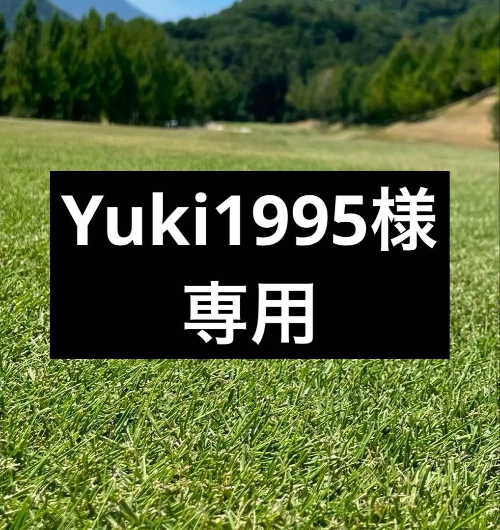 GWセール❤️【新品未使用】パーリーゲイツ　キャディバック
