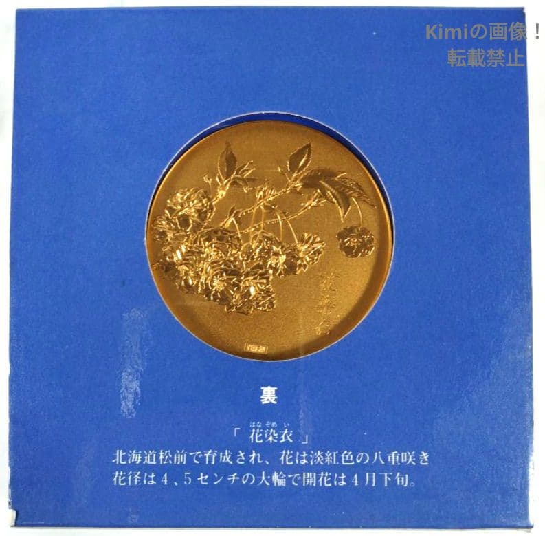 平成5年 1993年 桜の通り抜け 記念 銅 メダル 「花染衣」 記念 日