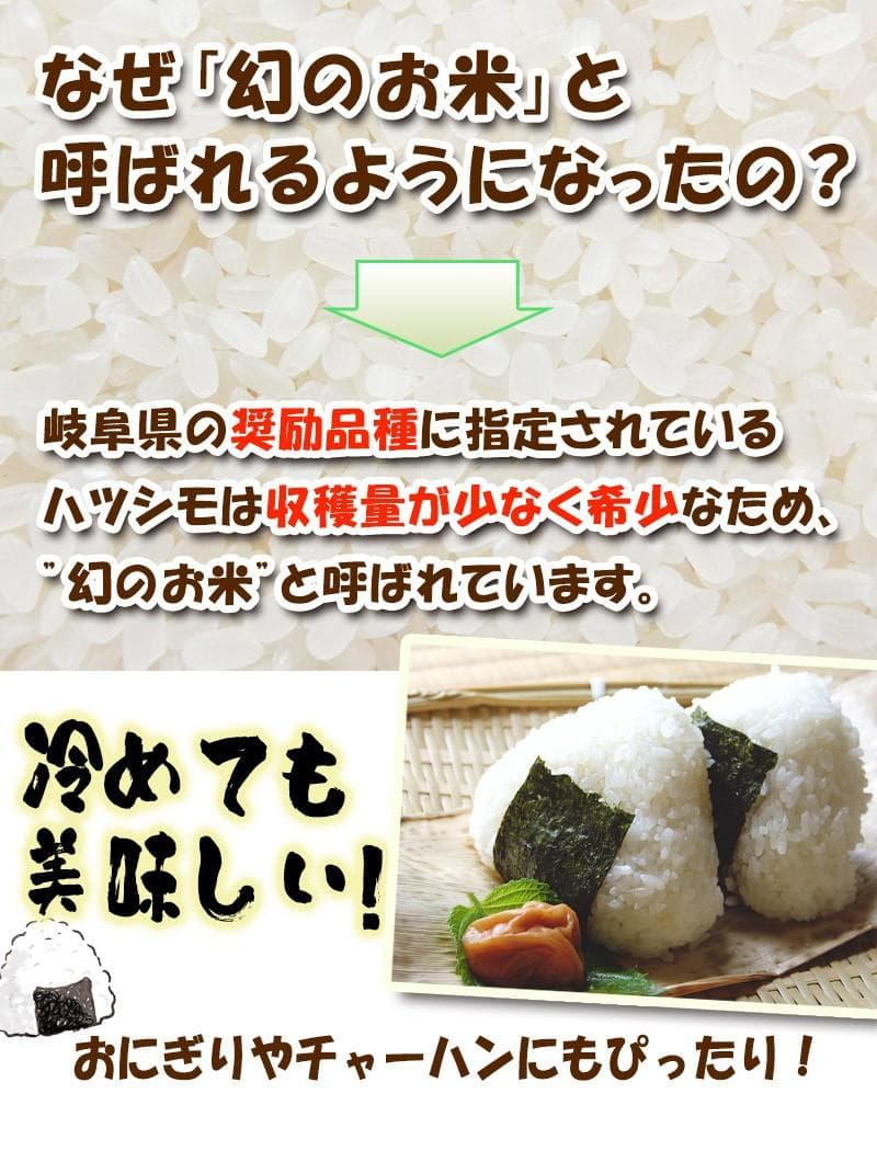 岐阜ブランド米　令和７年度『岐阜ハツシモ』新米　白米(玄米可)10キロ送料無料