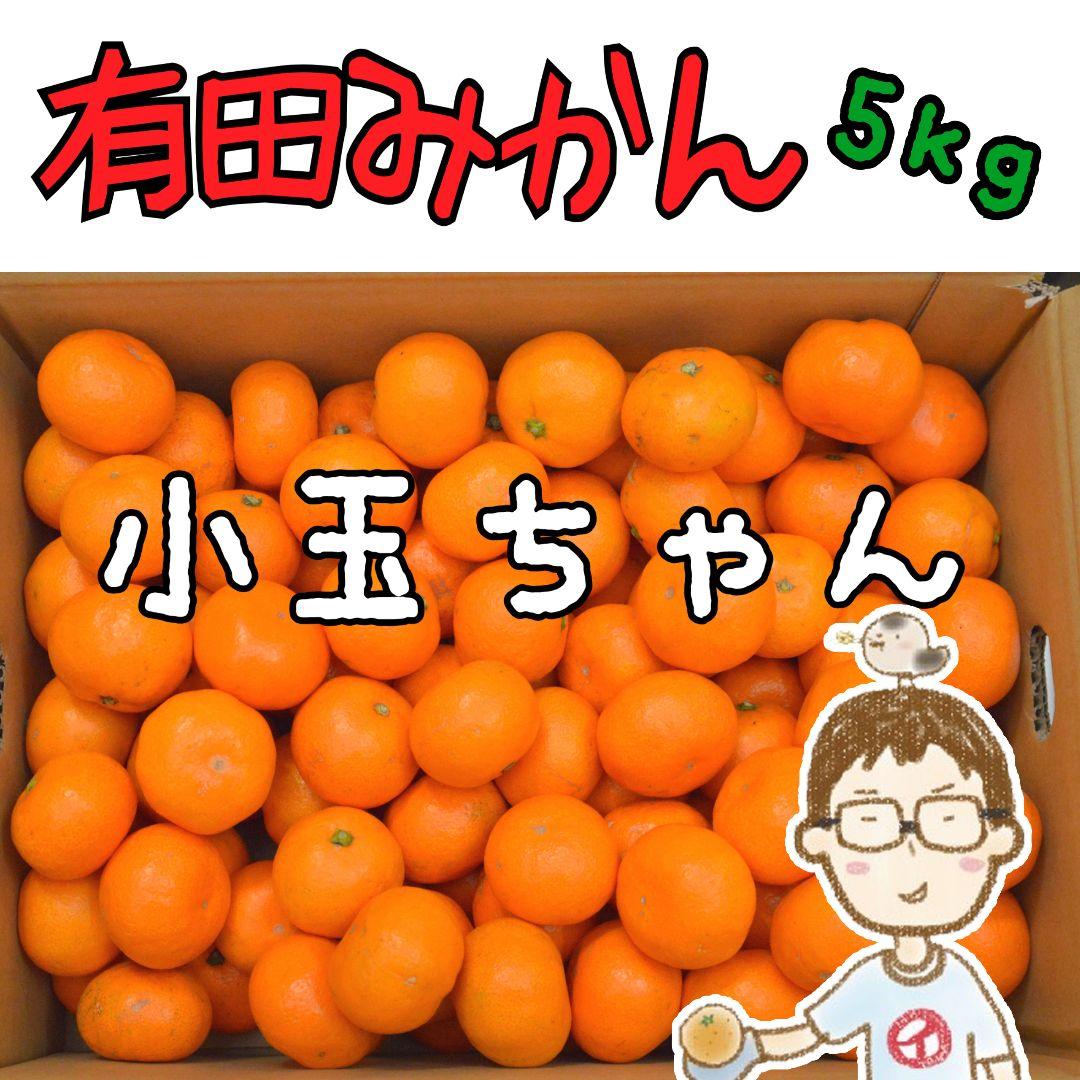 農家のだんな★有田みかん 5kg★小玉 販売中
