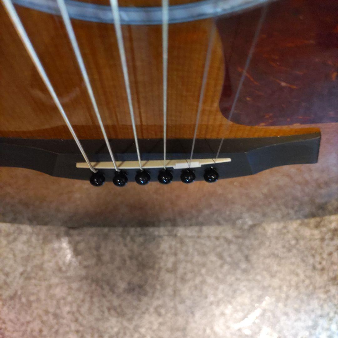 Taylor 214ce エレアコ (管理キワ)