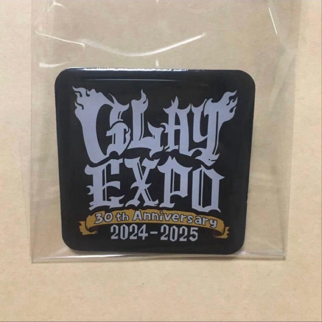 GLAY EXPO 30th Anniversary 2024-2025 ピンズ