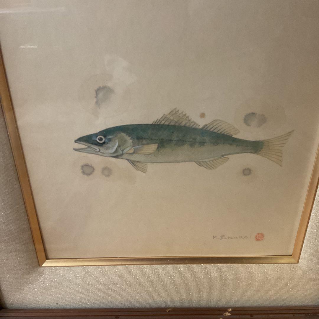 水彩画 肉筆画 【 魚 図 】 作者 落款印譜在 sakurai