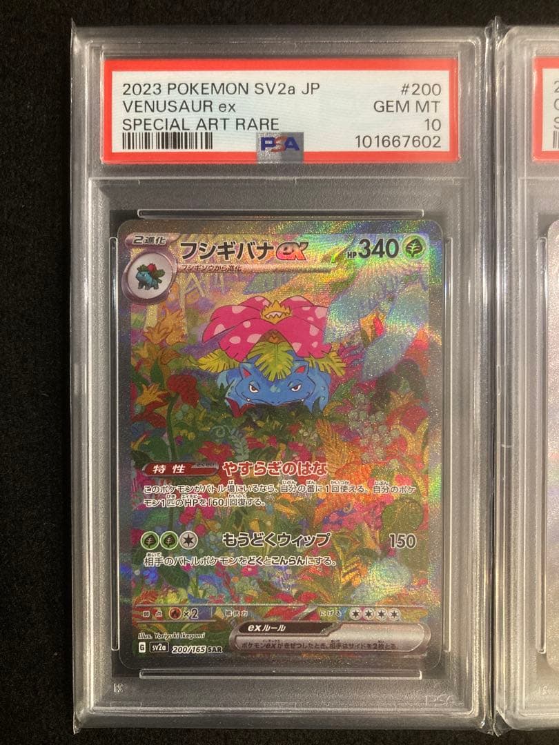 【151 PSA10 3連番】フシギバナ リザードン カメックス 【御三家】
