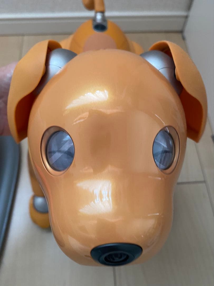 ソニー　アイボ　aibo キャラメルエディション　ERS-1000 限定