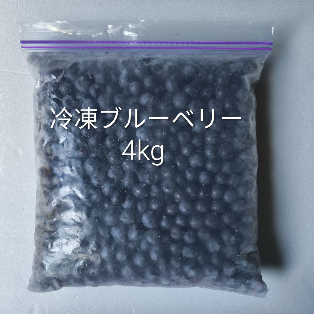 島根県産 冷凍 ブルーベリー 4kg 栽培期間中、農薬・化学肥料不使用