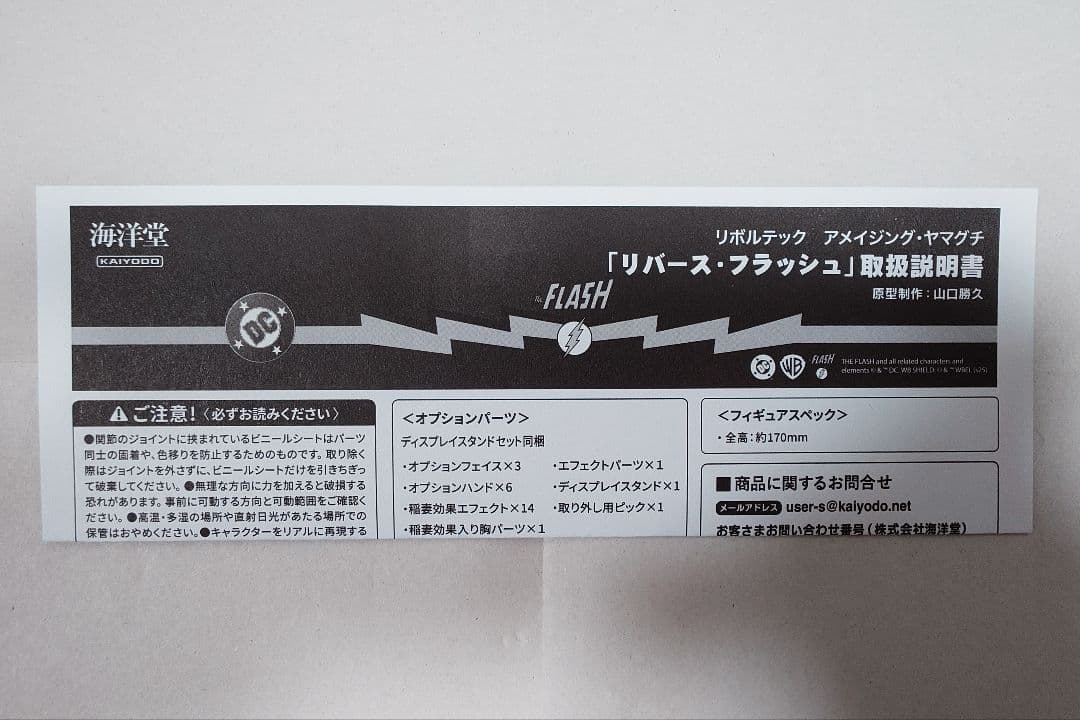 アメイジング・ヤマグチ リバース・フラッシュ 予約特典付き