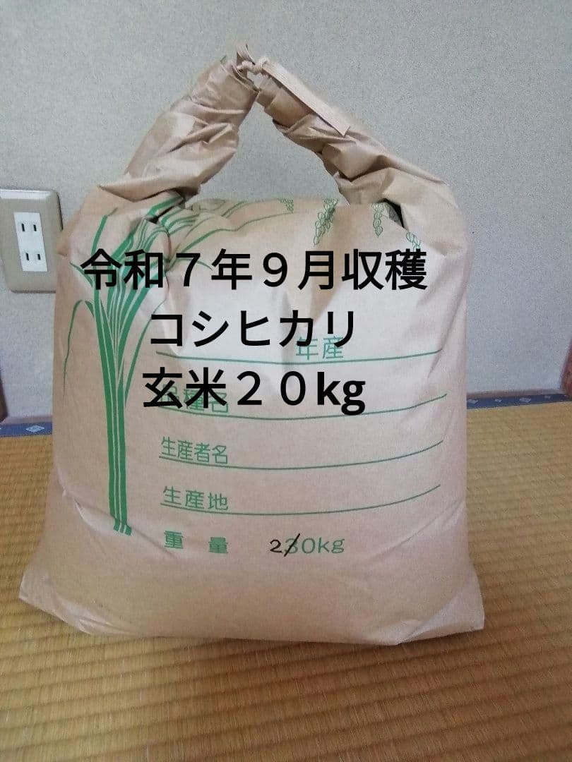 コシヒカリ玄米２０kg　令和７年９月収穫