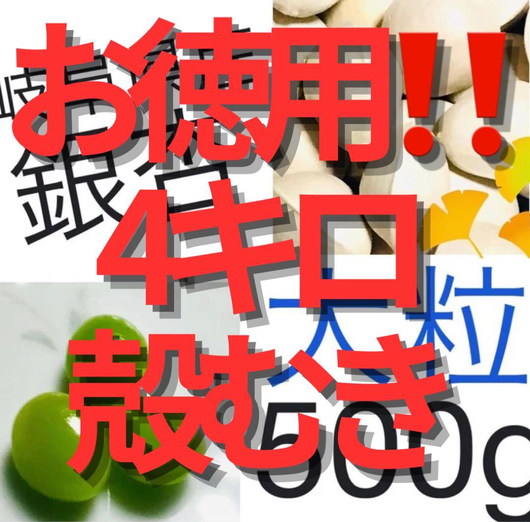 【森のちーさん】岐阜県産　銀杏　大粒　藤九郎　4キロ　殻剥き‼️