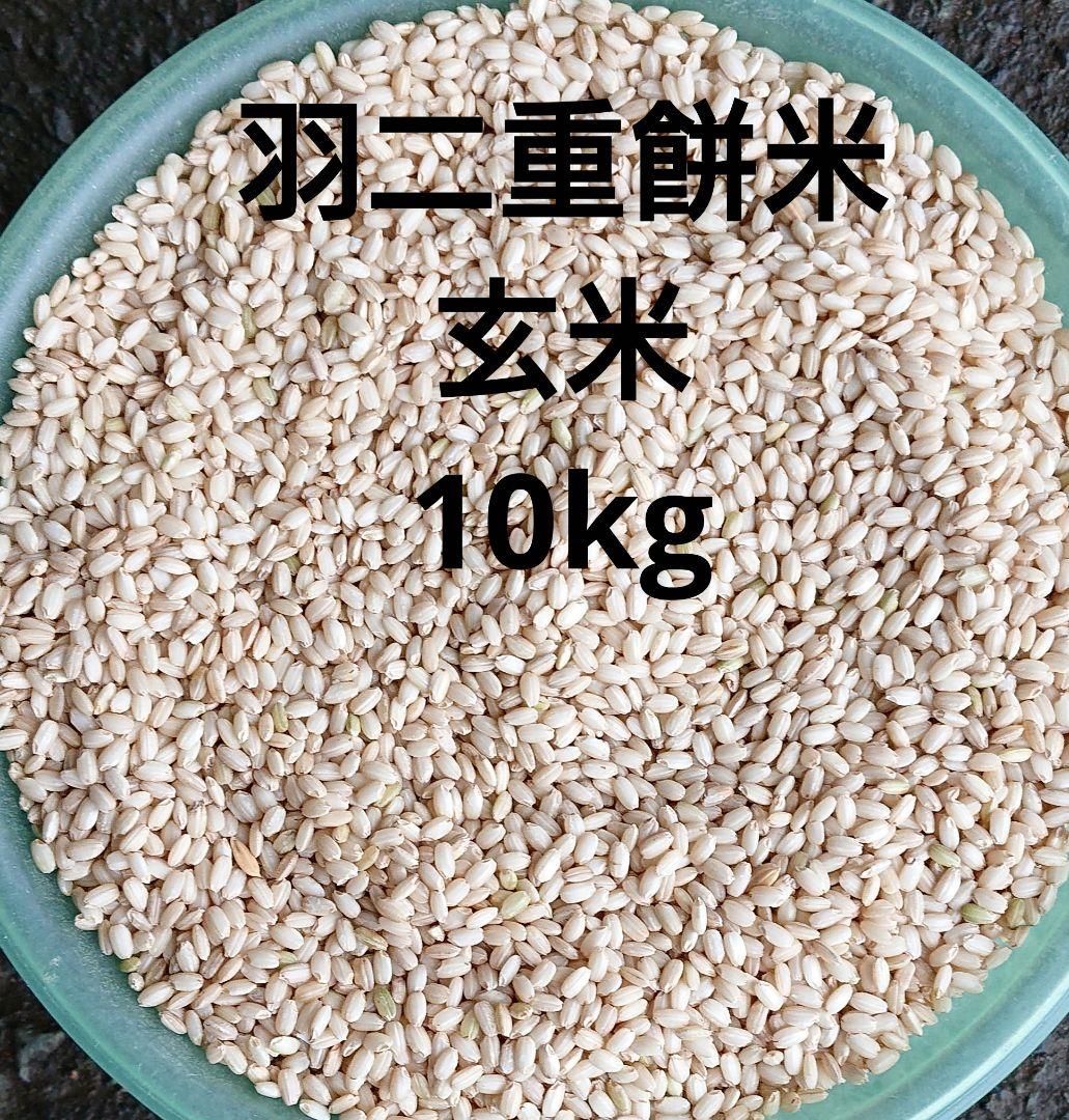 令和7年 兵庫県産 羽二重餅米 玄米 10kg