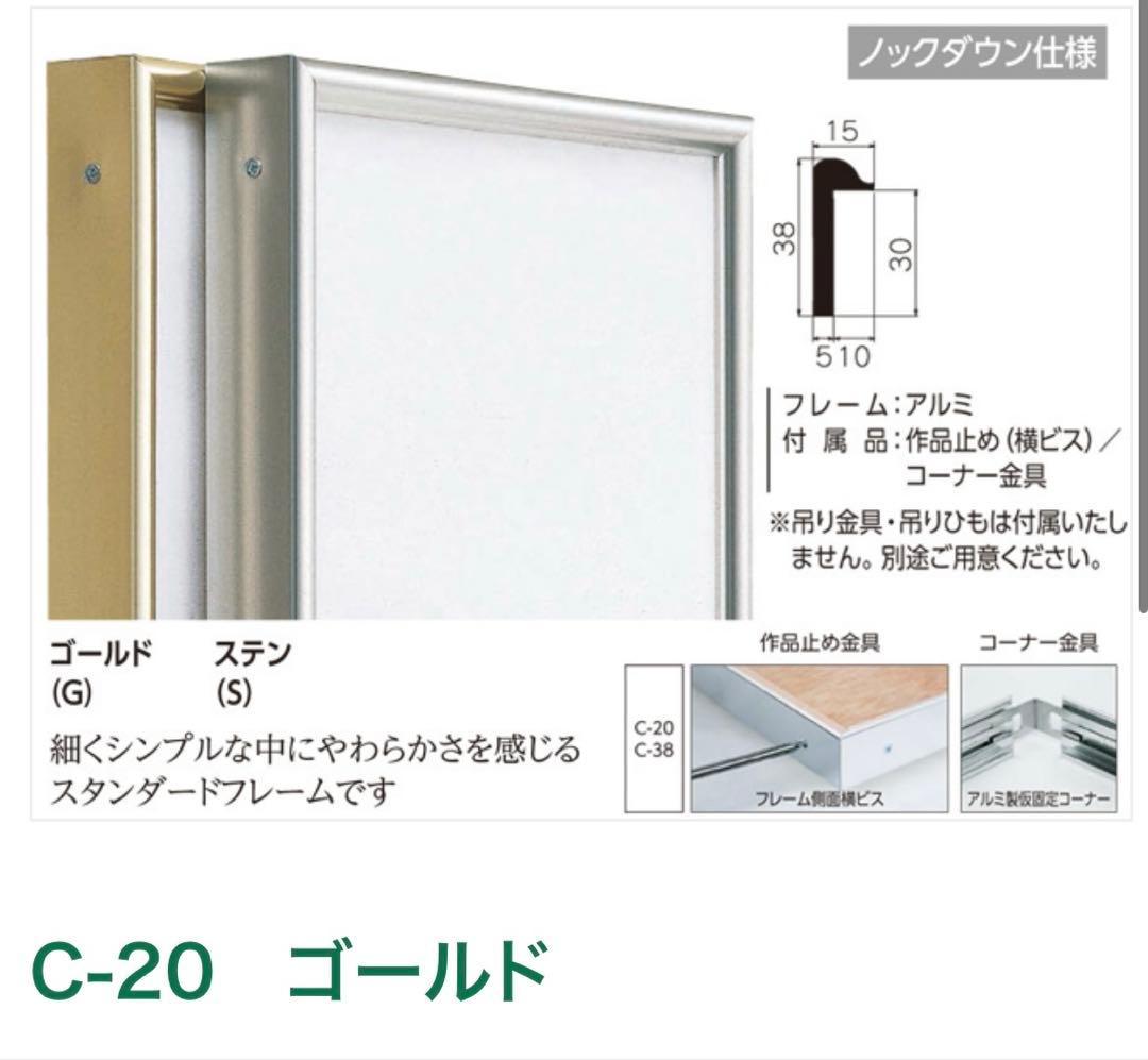 C-20 ゴールド フレーム 12F
