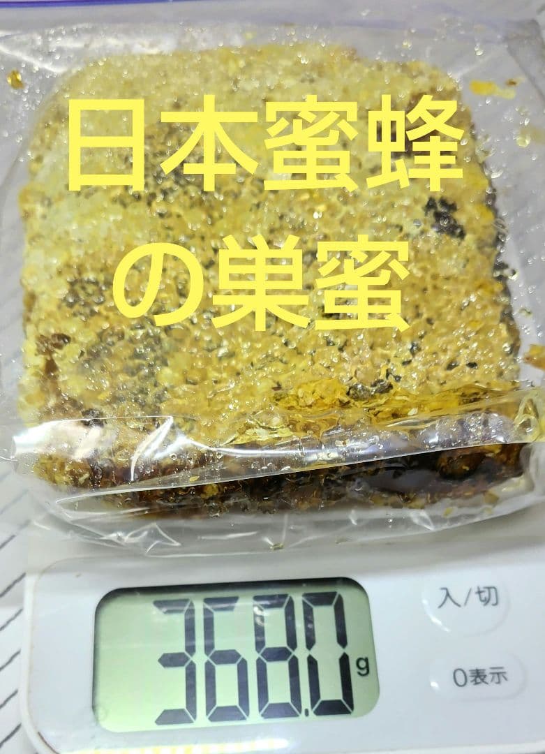日本蜜蜂採りたて生蜂蜜(生巣蜜)368g＋蜂蜜600g×2本#6　　　　宮城県産