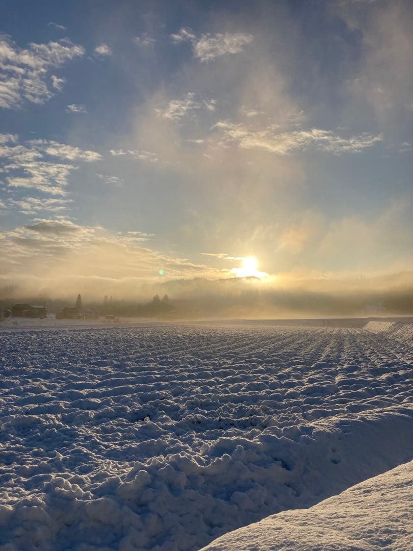 魚沼産コシヒカリ精米10㌔