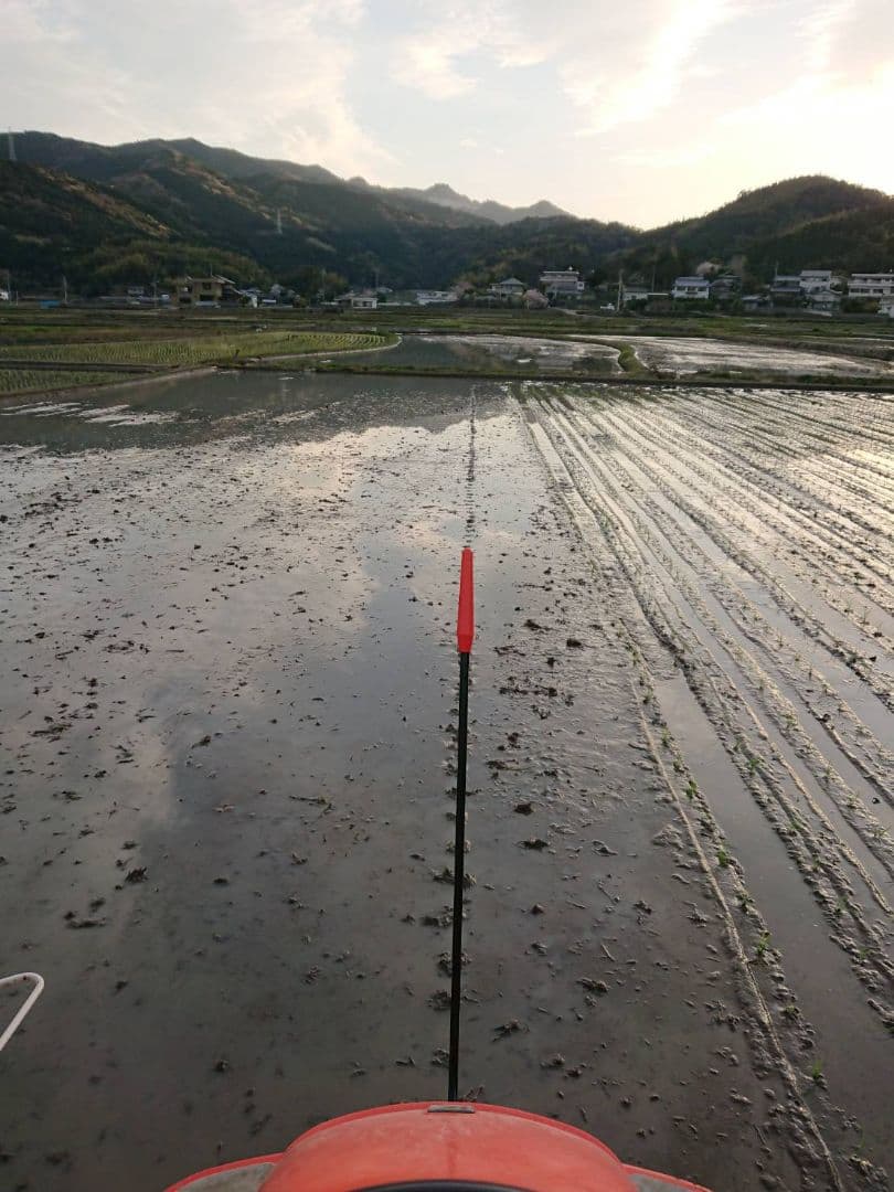 徳島県産 コシヒカリ 20kg　低温貯蔵中　農家直送