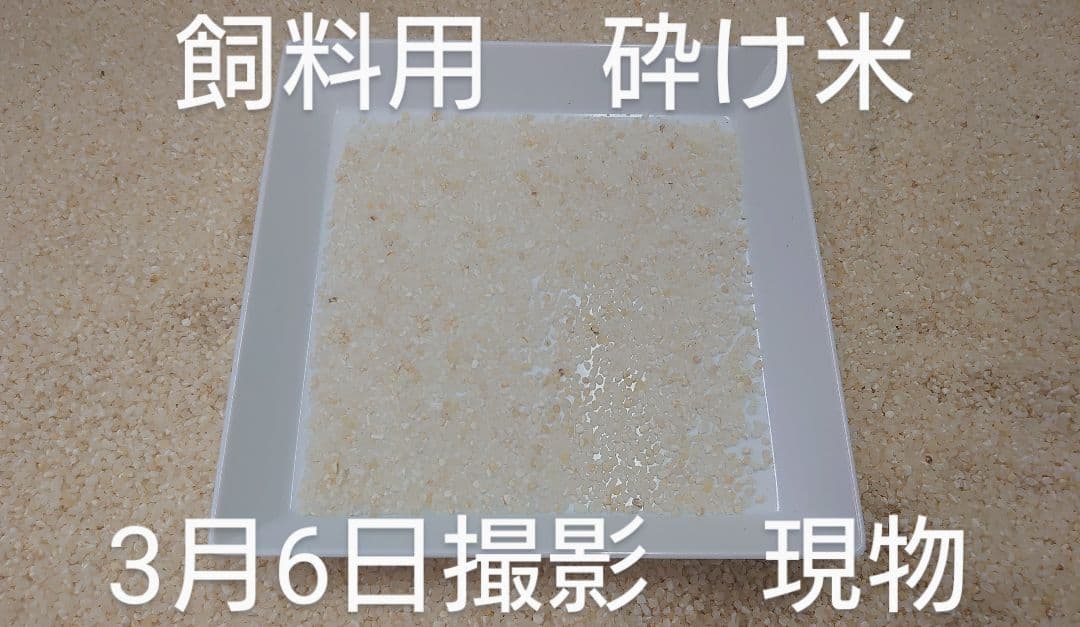 鳥類 小動物用飼料 砕け米 29キロ