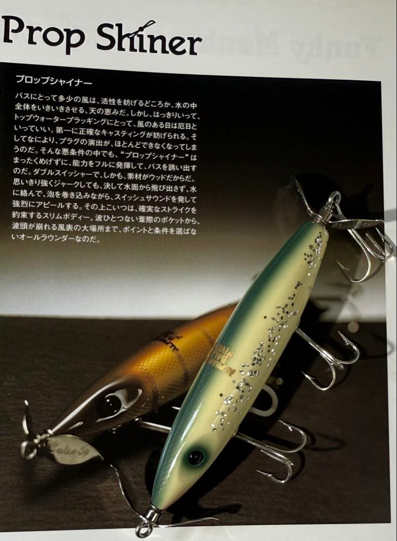 【2/22誕生日セール】SAURUS Balsa50 セット