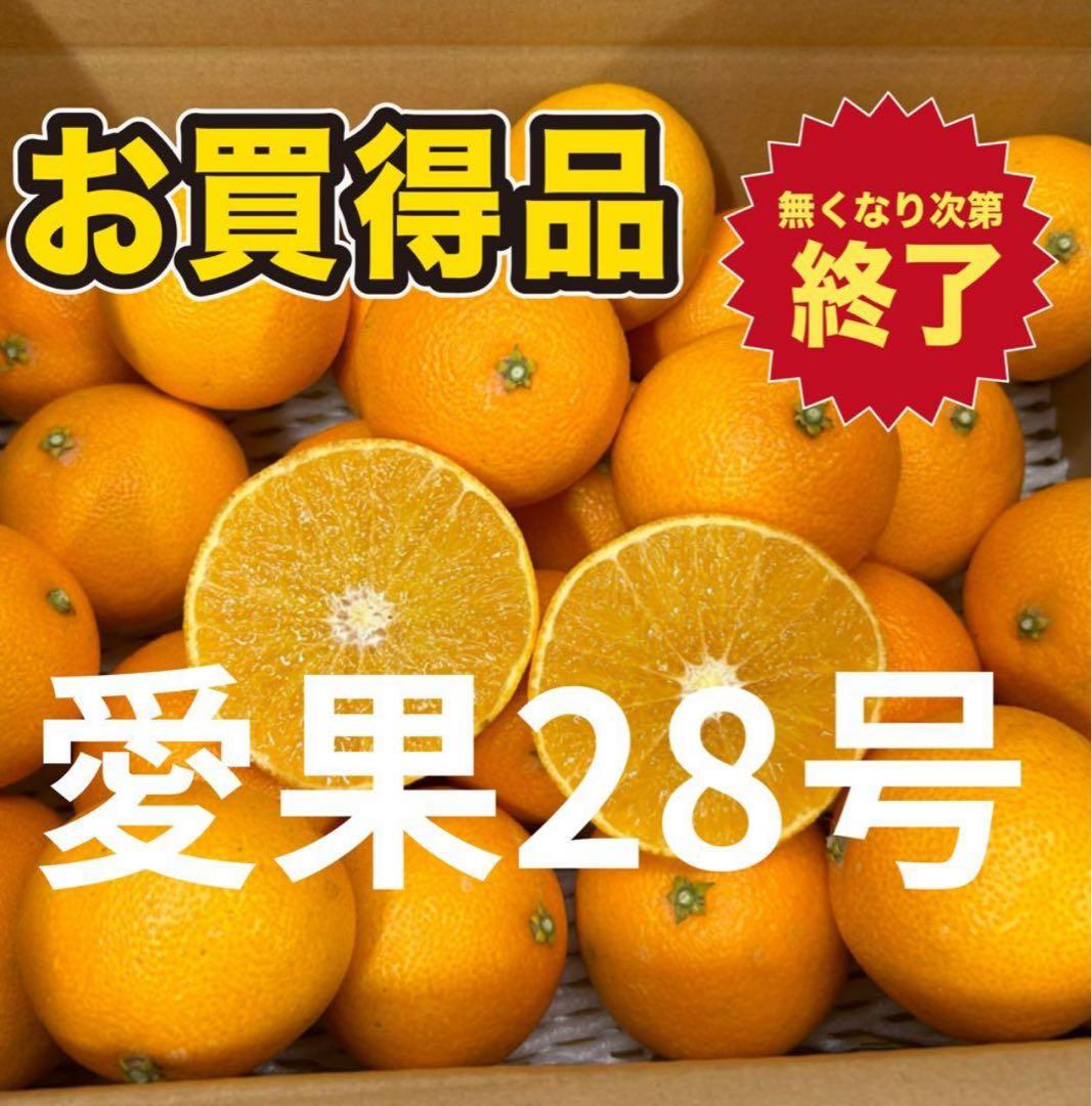 愛媛県産　愛果28号まどんな5キロ（箱込み）　✖️2箱秀品〜家庭用　農家直送