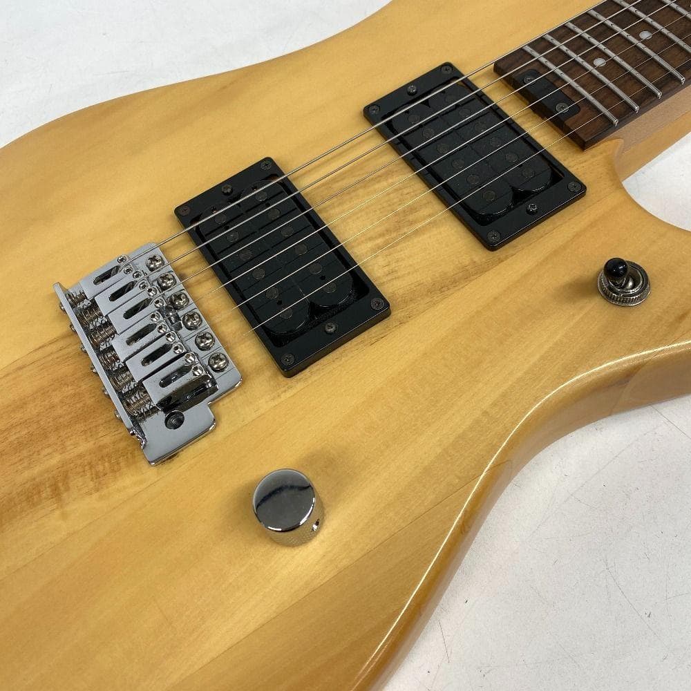 Washburn ワッシュバーン PRO エレキギター ソフトケース付き