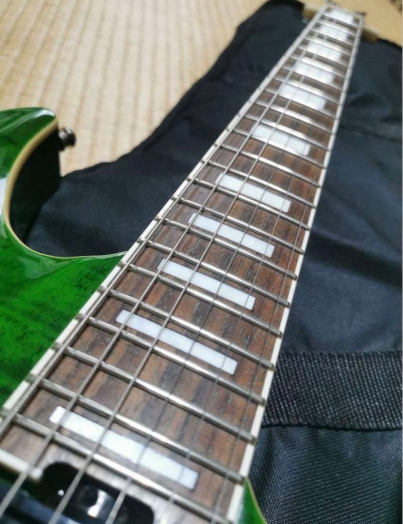 マスクSchecter PA-FC/TH shadows