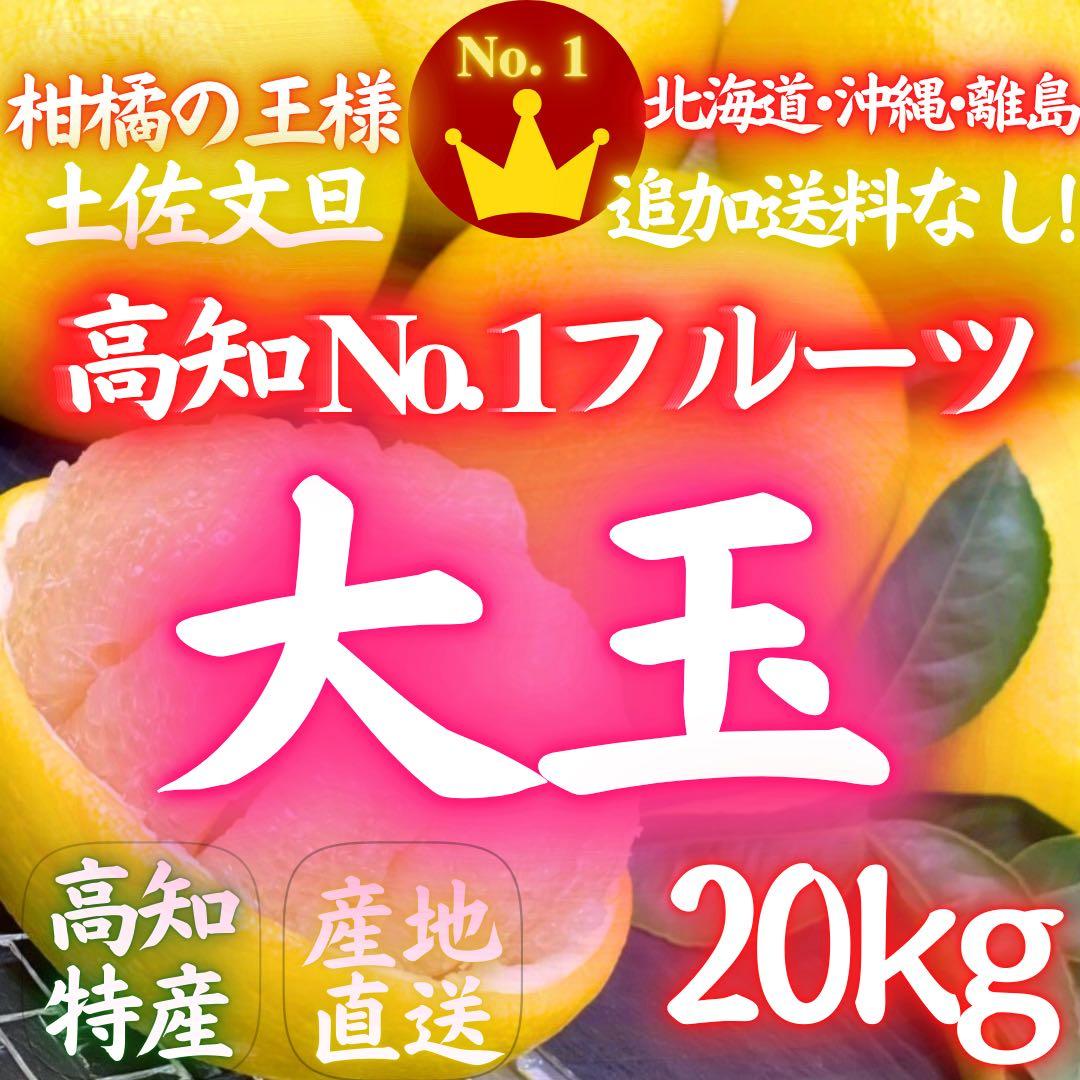 42高知特産 露地栽培 土佐文旦 3L4L文旦 約20kg 大玉 サイズ