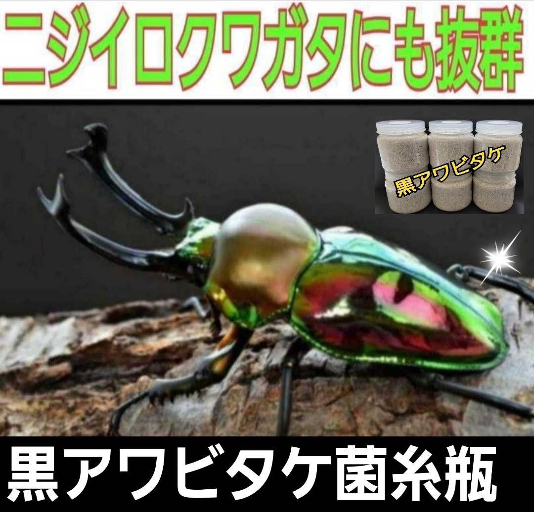 ニジイロクワガタにお薦め！極上！黒アワビタケ菌糸瓶【10本】トレハロース強化配合