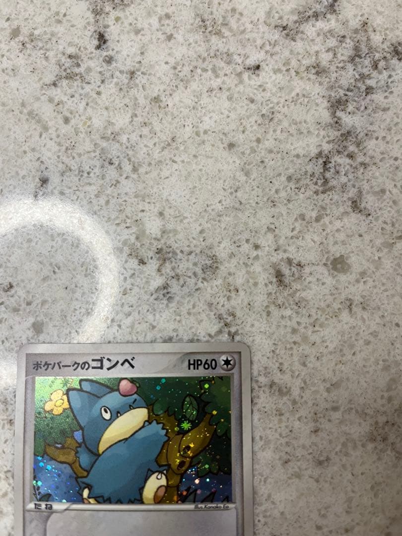 PSA 10 ポケパークのゴンベ 008/009 ポケモンカード フォレスト