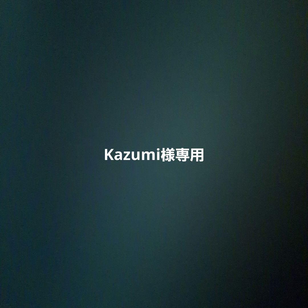 Kazumi　つぶれ梅干し6kg
