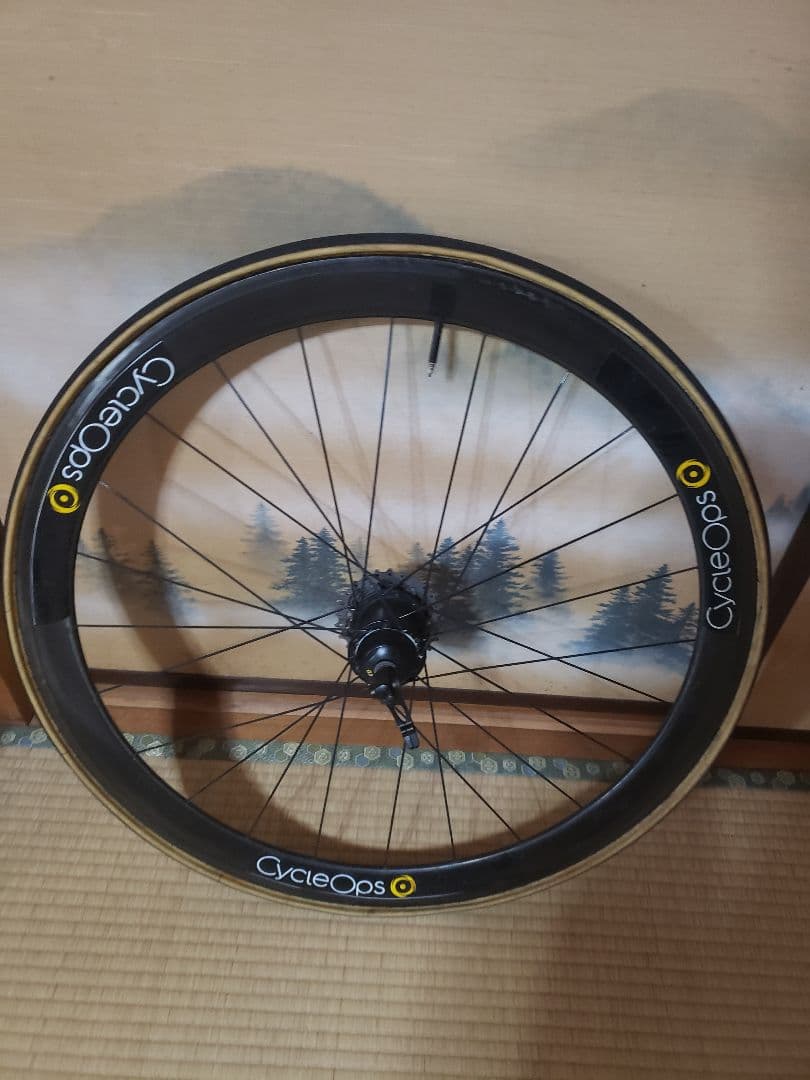 Cycleops Powertap G3 Enve1-45 リアホイール