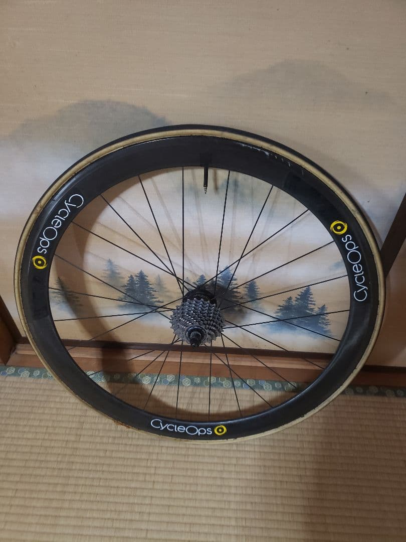Cycleops Powertap G3 Enve1-45 リアホイール