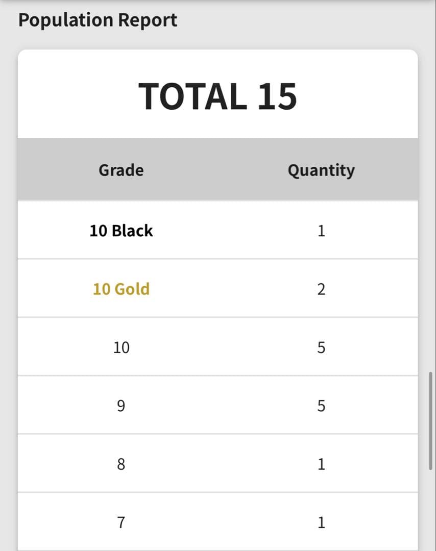【gemix10 black】メガルカリオex mur
