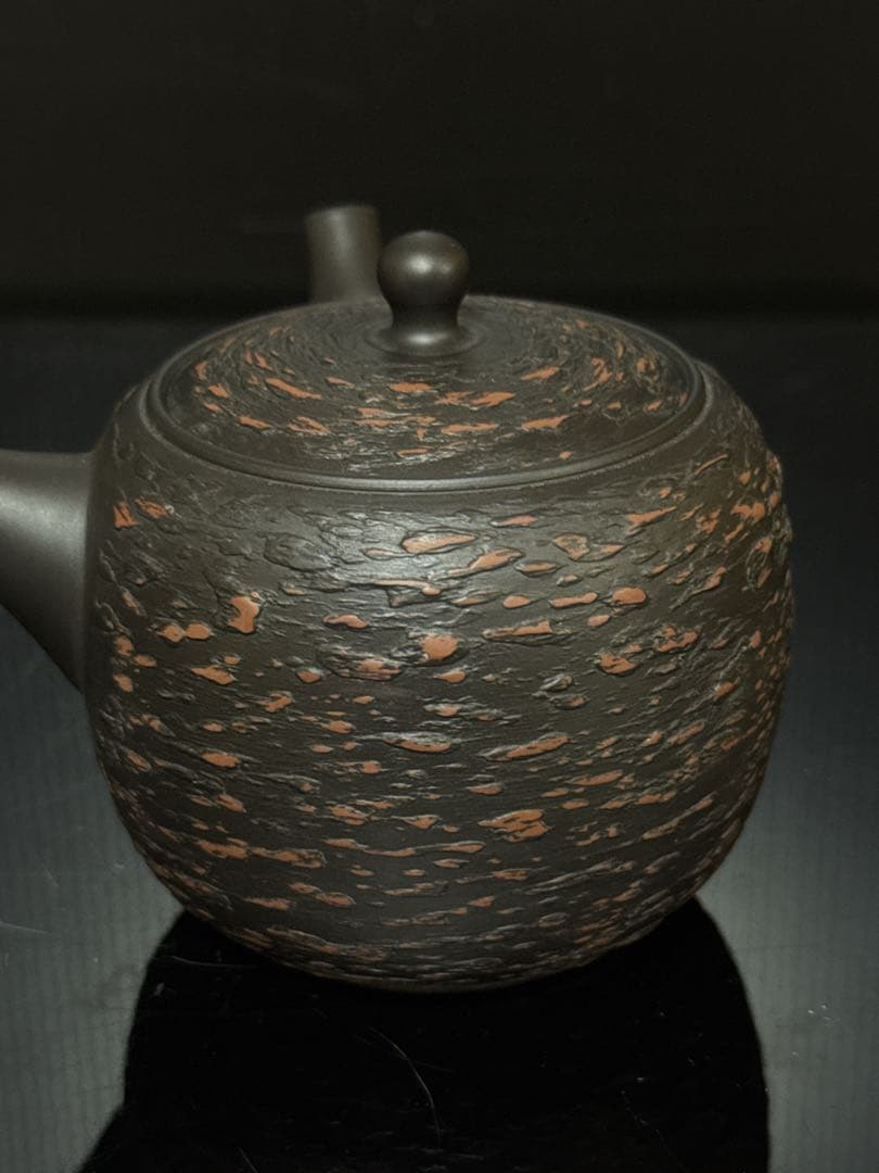 個展出品作 常滑焼 名人 仲井堂 森下宗則 作 焼桜紋様 急須 茶注 桐共箱付