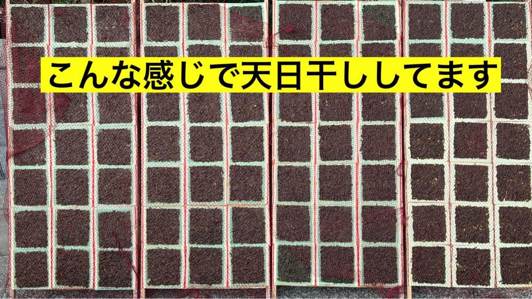 訳あり 出来たばかりの新春はばのり 35枚 12,180円 1枚あたり348円