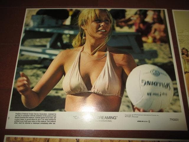 コレクション california dreaming (RARE!!lobby card!!)