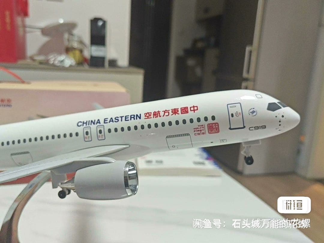 お*ん様 【希少品】C919 1/100 世界初の中国産旅客機 37cm 金属製