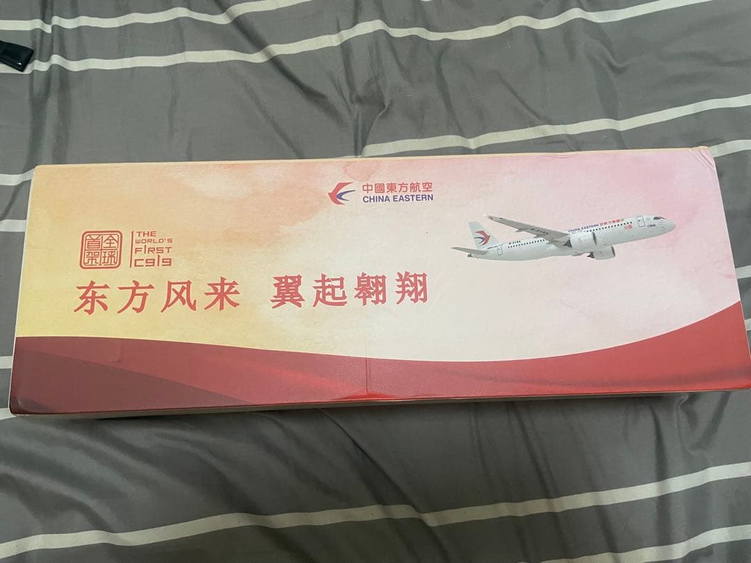 お*ん様 【希少品】C919 1/100 世界初の中国産旅客機 37cm 金属製