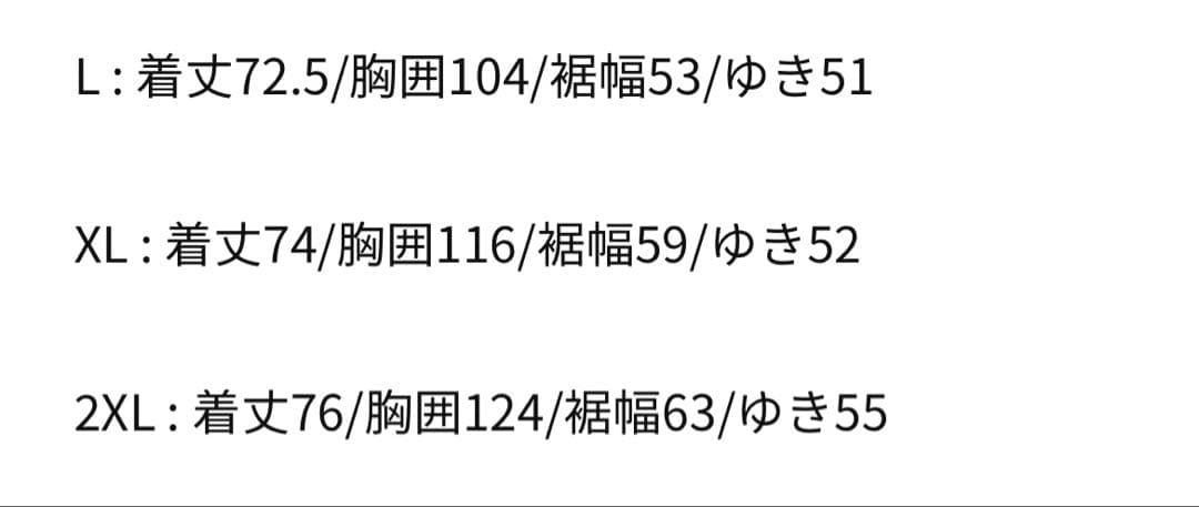ナイキ　韓国チーム　ユニフォーム　パクチソン　L 2004