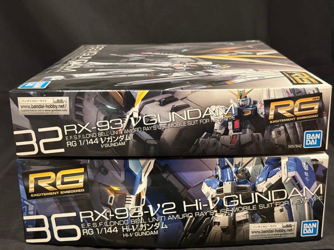 t*k様 RG Hi-νガンダム　νガンダム　２体セット