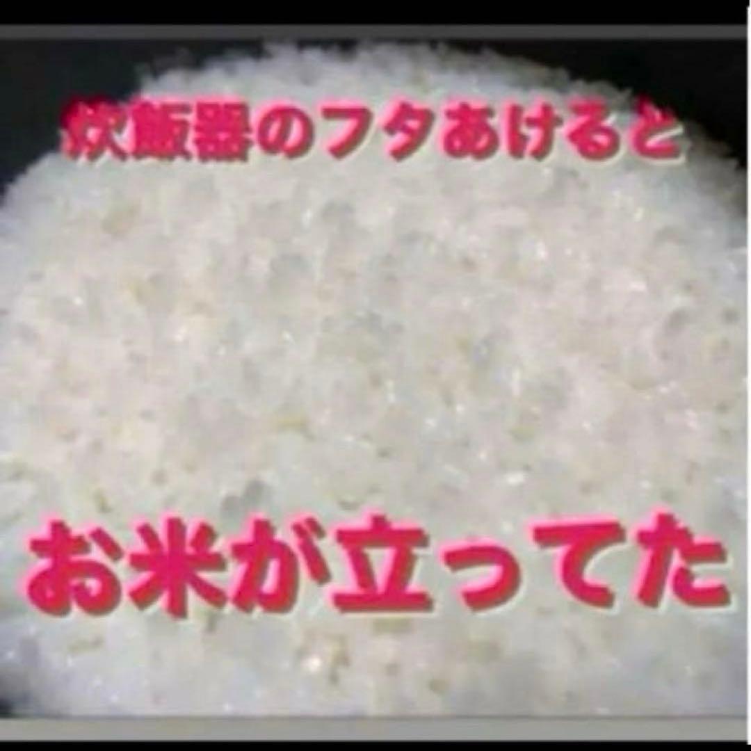 令和7年産 100%ヒノヒカリ玄米 10キロ　送料精米無料